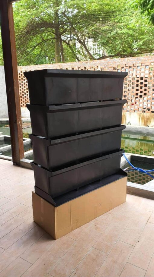 Những thông tin hữu ích về lọc bakki dành cho hồ cá nhà bạn