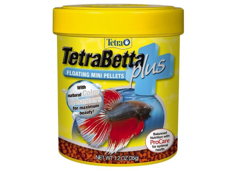 Khám Phá Cách Nuôi Cá Betta Bột - Kỹ Thuật Chuyên Sâu